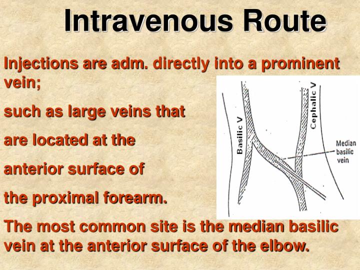PPT - Different Sites of Injections PowerPoint Presentation - ID:4219667