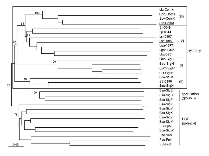 PPT - Lla-ComX PowerPoint Presentation, free download - ID:4219835