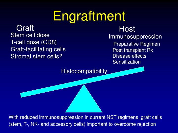 PPT - Overview of Hematopoietic Stem Cell Transplantation (HSCT ...