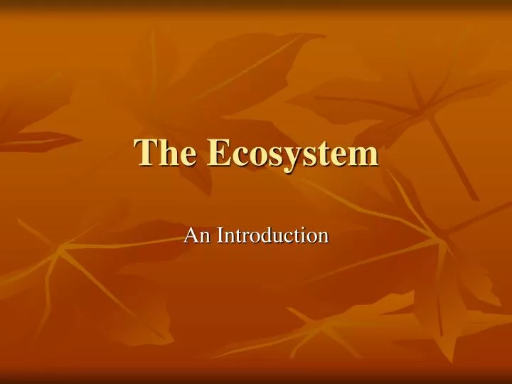 PPT - The Ecosystem PowerPoint Presentation, free download - ID:4223904