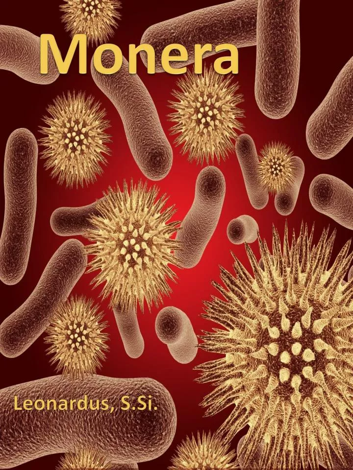 PPT - Monera PowerPoint Presentation, free download - ID:4224205