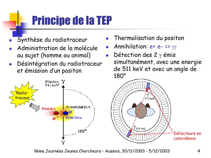 PPT - Construction d’une caméra TEP dédiée aux petits animaux ...
