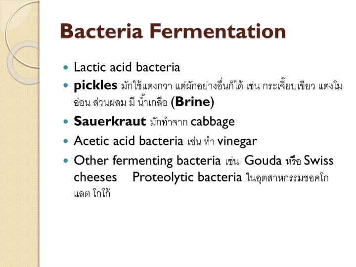 PPT - หลักการถนอมและแปรรูปอาหารเบื้องต้น PowerPoint Presentation - ID ...