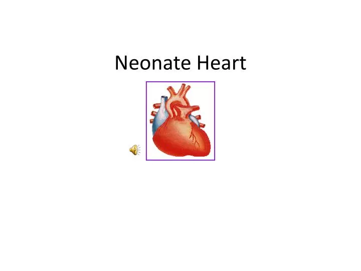 PPT - Neonate Heart PowerPoint Presentation, free download - ID:4225096