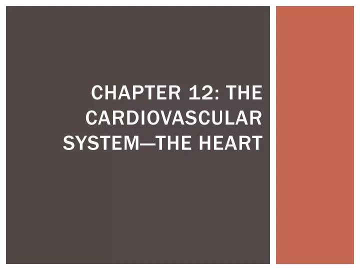PPT - Chapter 12: The Cardiovascular System—The Heart PowerPoint ...