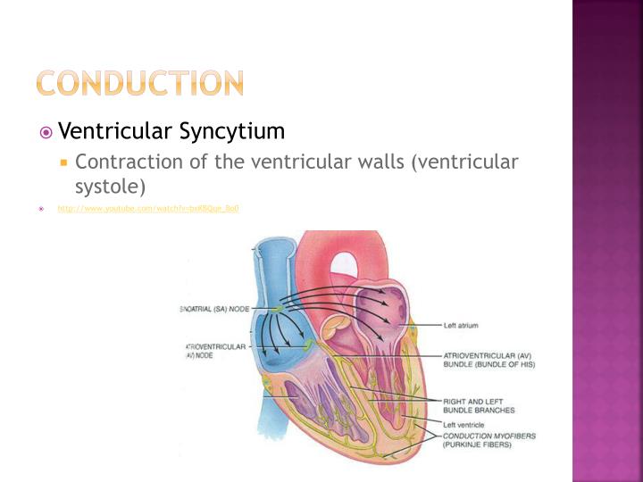 PPT - Conduction PowerPoint Presentation - ID:4225169