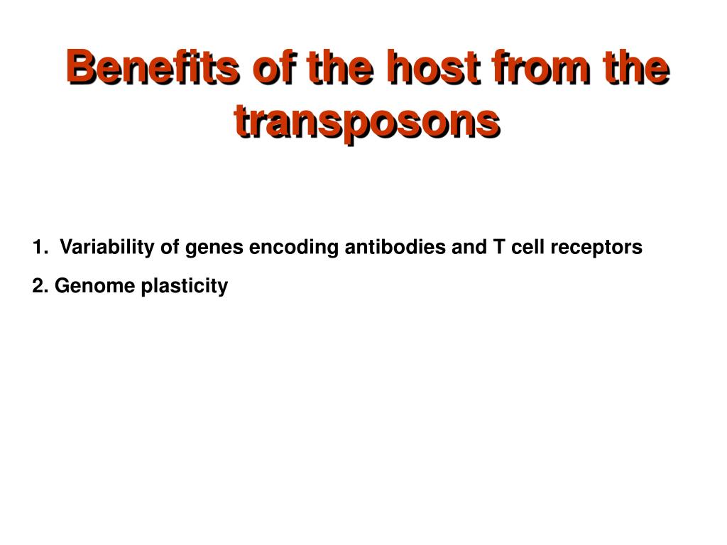 Ppt The Genome Powerpoint Presentation Free Download Id 4225812