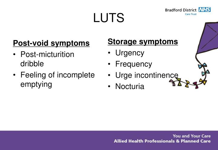 PPT - The symptoms and management of lower urinary tract symptoms (LUTS ...