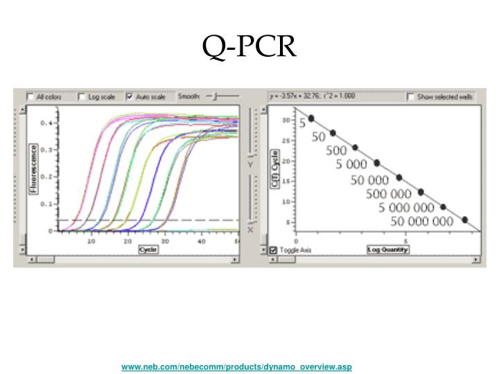 PPT - Microbial Diversity on Sinking Particles PowerPoint Presentation ...