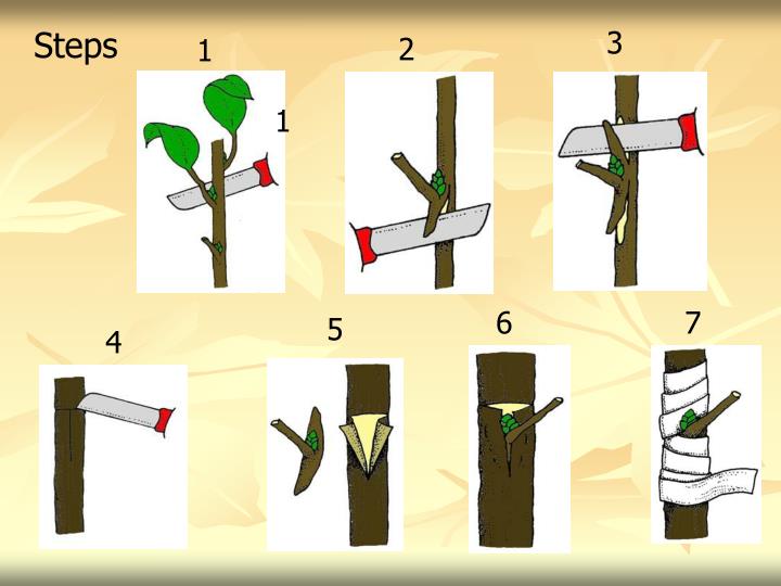 PPT - Long Test No. 1 (Feb. 4) Pointers for Review PowerPoint ...