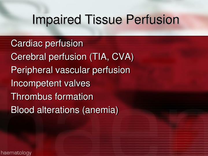 PPT - Basic Human Needs Oxygenation Ventilation/Perfusion PowerPoint ...