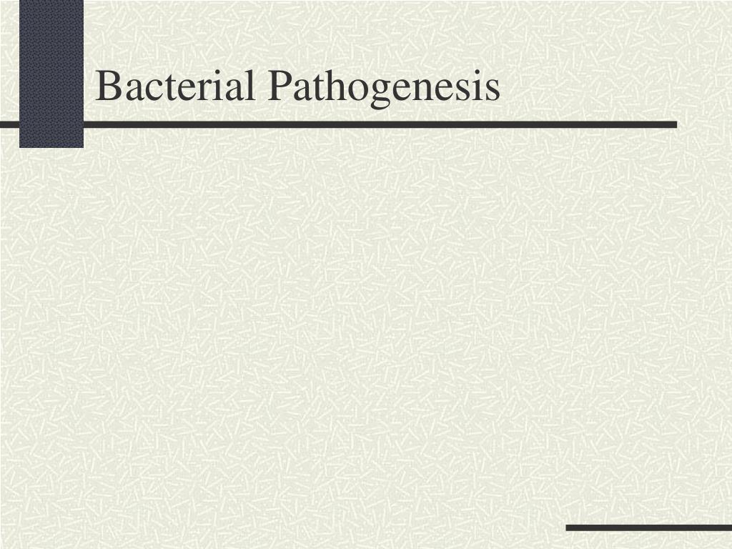 PPT - Bacterial Pathogenesis PowerPoint Presentation, free download ... PPT - Bacterial Pathogenesis PowerPoint Presentation, free download ...