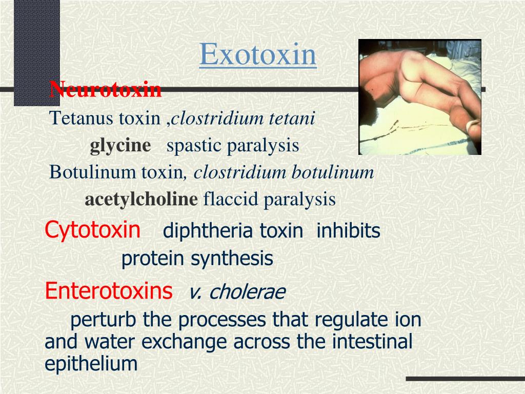 PPT - Bacterial Pathogenesis PowerPoint Presentation, free download ... PPT - Bacterial Pathogenesis PowerPoint Presentation, free download ...