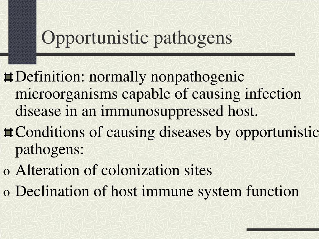 PPT - Bacterial Pathogenesis PowerPoint Presentation, free download ... PPT - Bacterial Pathogenesis PowerPoint Presentation, free download ...
