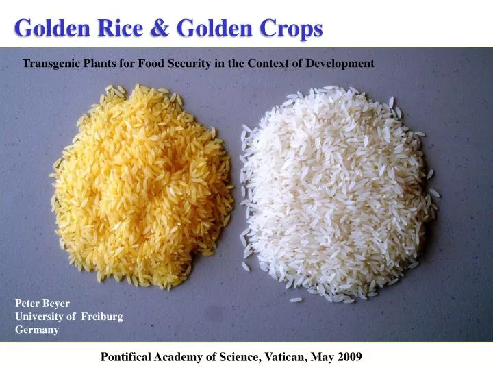PPT - Golden Rice & Golden Crops PowerPoint Presentation, free download ...