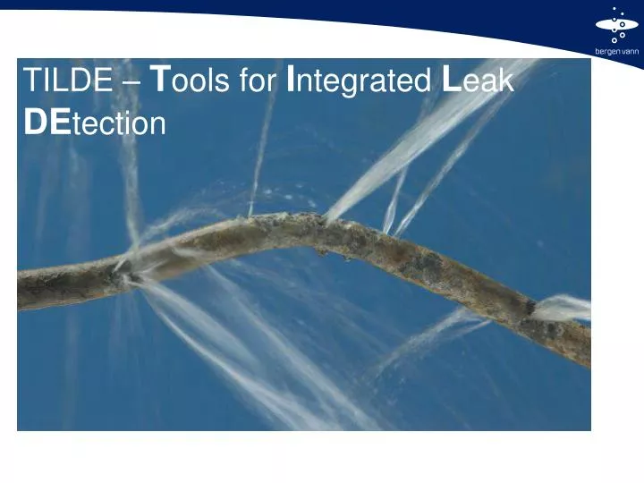 PPT - TILDE – T ools for I ntegrated L eak DE tection PowerPoint ...