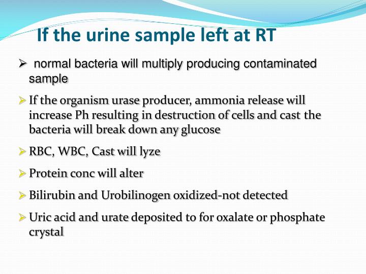 PPT - LABORATORY SPECIMEN COLLECTION & HANDLING PowerPoint Presentation ...