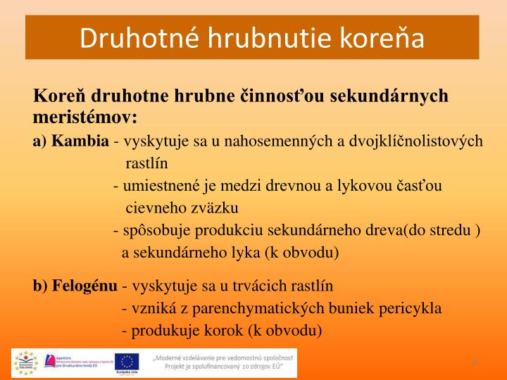 PPT - Rastlinné orgány: Koreň (Radix) PowerPoint Presentation - ID:4235622