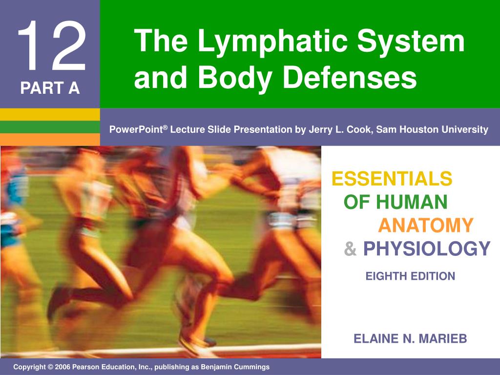 Ppt The Lymphatic System And Body Defenses Powerpoint Presentation
