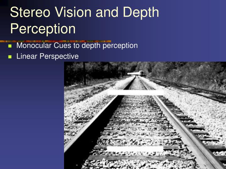 PPT - Stereo Vision and Depth Perception PowerPoint Presentation - ID ...