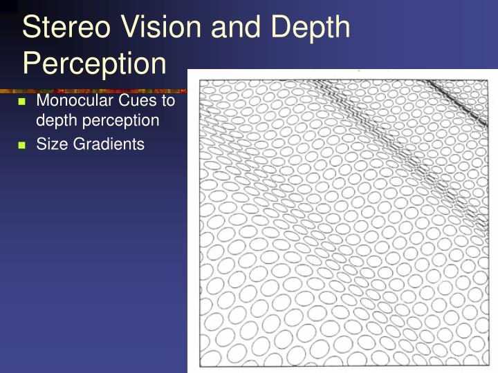 PPT - Stereo Vision and Depth Perception PowerPoint Presentation - ID ... PPT - Stereo Vision and Depth Perception PowerPoint Presentation - ID ...
