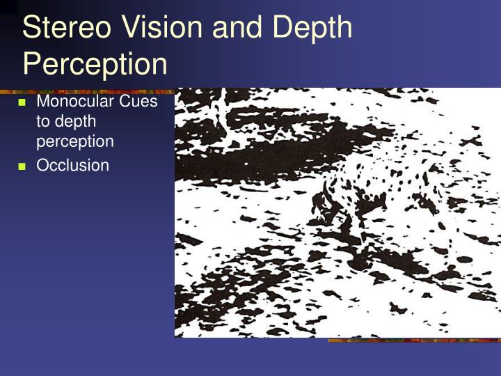 PPT - Stereo Vision and Depth Perception PowerPoint Presentation - ID ... PPT - Stereo Vision and Depth Perception PowerPoint Presentation - ID ...