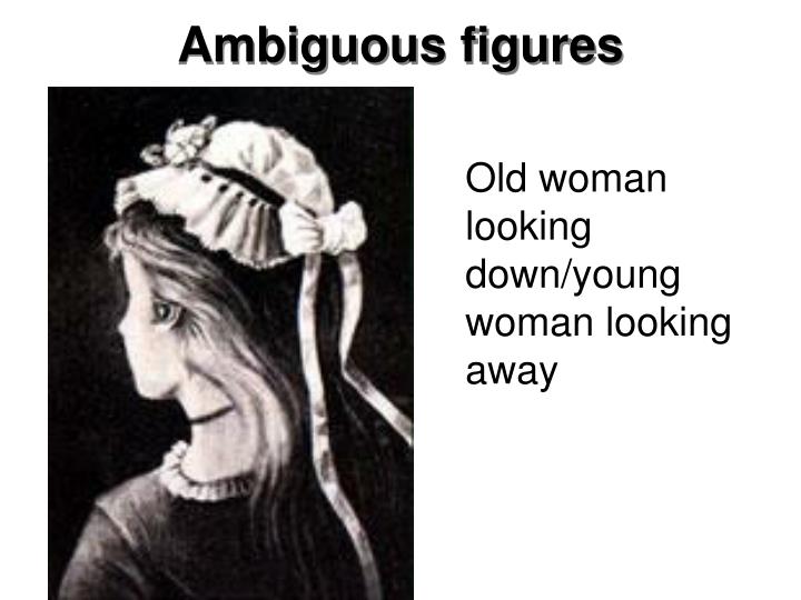 PPT - Visual Illusions PowerPoint Presentation - ID:4237419