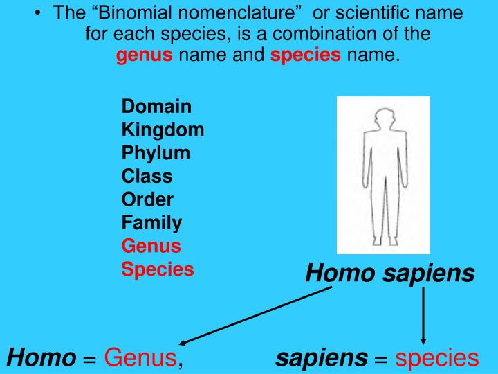 PPT - All of these organisms are animals and belong in Kingdom Animalia ...