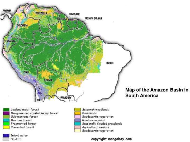 PPT - The Amazon Rainforest PowerPoint Presentation - ID:4237926
