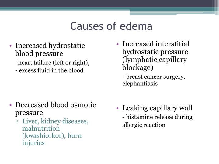 PPT - Consistent patterns of blood circulation in arteries and veins ...