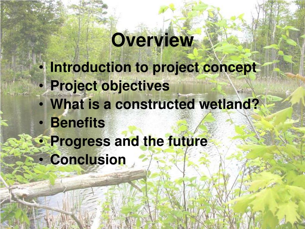 PPT - Constructed Wetlands Wastewater treatment systems for the ...