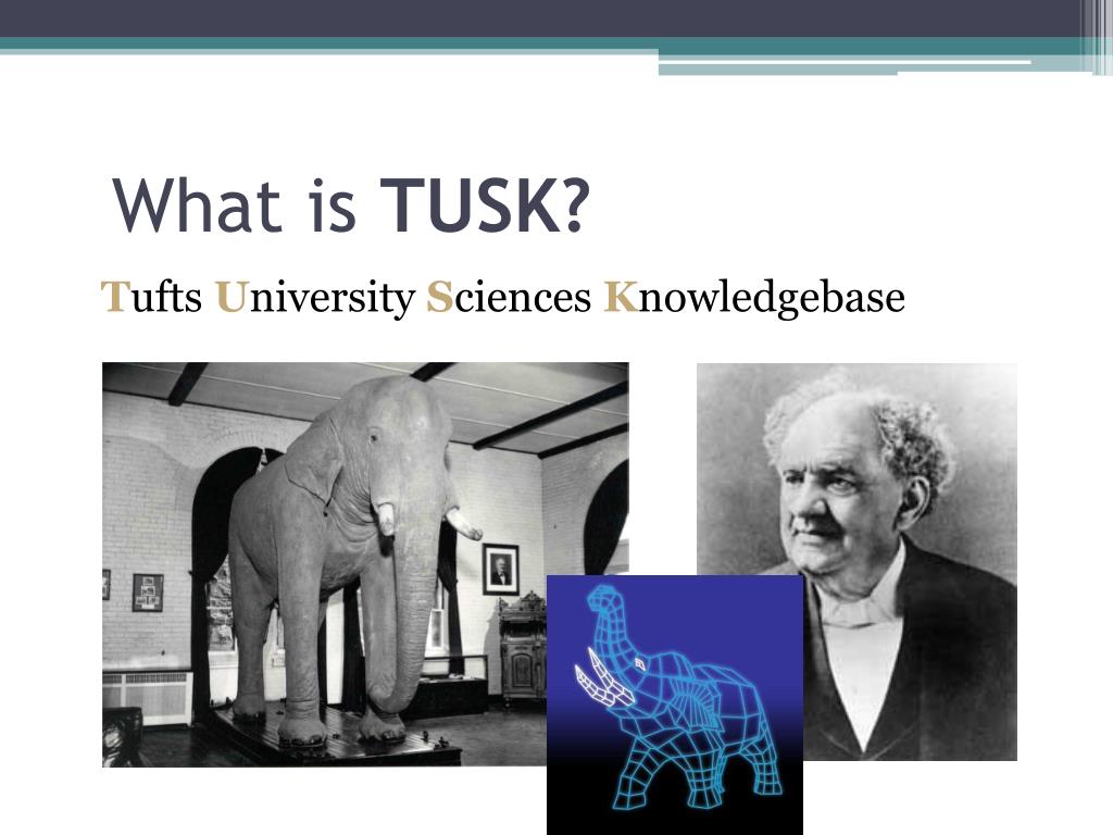 PPT - Susan Albright, Daniel Walker, Theodora Hadjimichael,Daniel ...