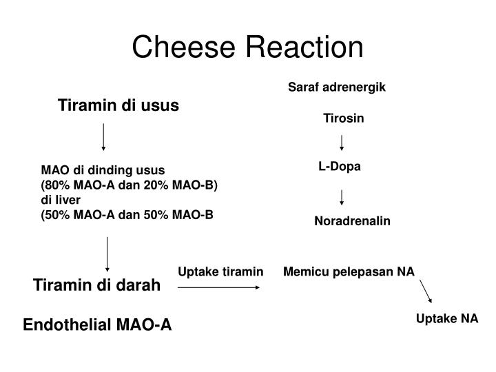 PPT - Reseptor MAOI PowerPoint Presentation - ID:4244350