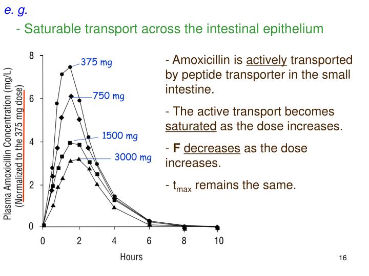 PPT - Nonlinear Pharmacokinetics PowerPoint Presentation - ID:4246595