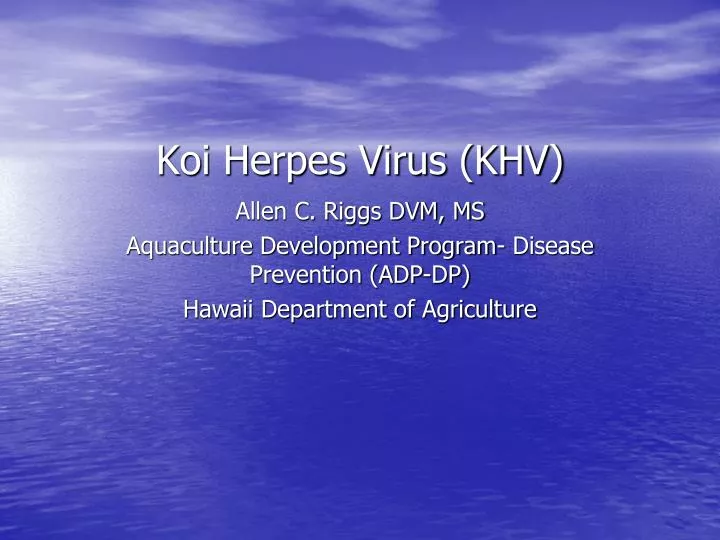 PPT - Koi Herpes Virus (KHV) PowerPoint Presentation, free download ...