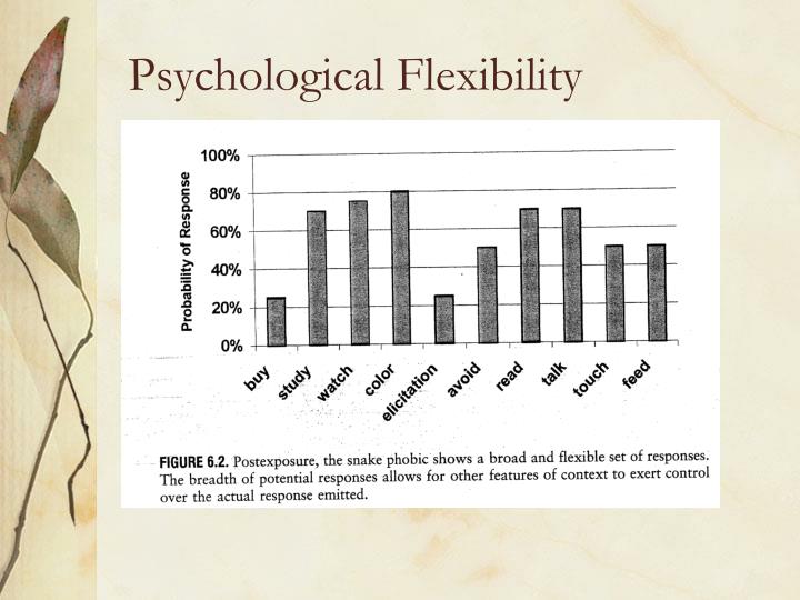 PPT - An Introduction to Acceptance and Commitment Therapy (ACT ...