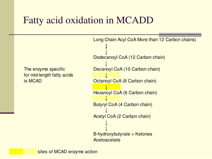 PPT - Newborn screening for MCADD PowerPoint Presentation - ID:4250360