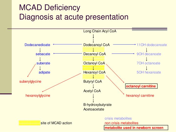 PPT - Newborn screening for MCADD PowerPoint Presentation - ID:4250360