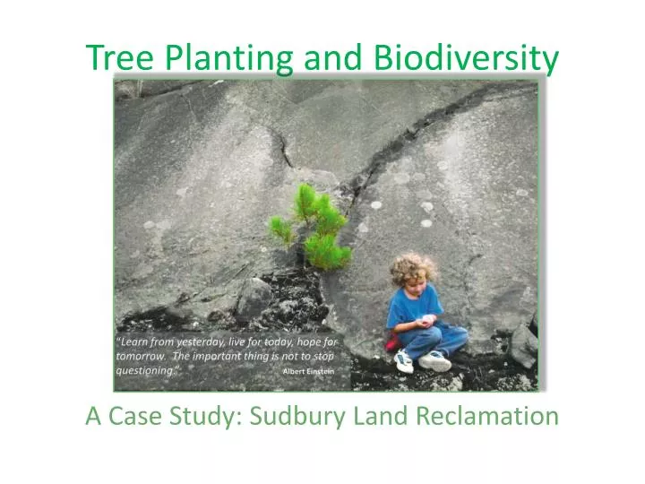 PPT - Tree Planting and Biodiversity PowerPoint Presentation, free ...