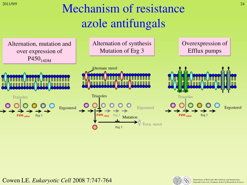 PPT - Nagasaki University Hospital established in September 20, 1861 ...