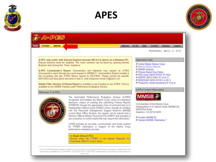 PPT - FitRepping 101 PowerPoint Presentation - ID:4252582