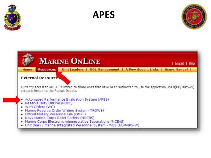 PPT - FitRepping 101 PowerPoint Presentation - ID:4252582