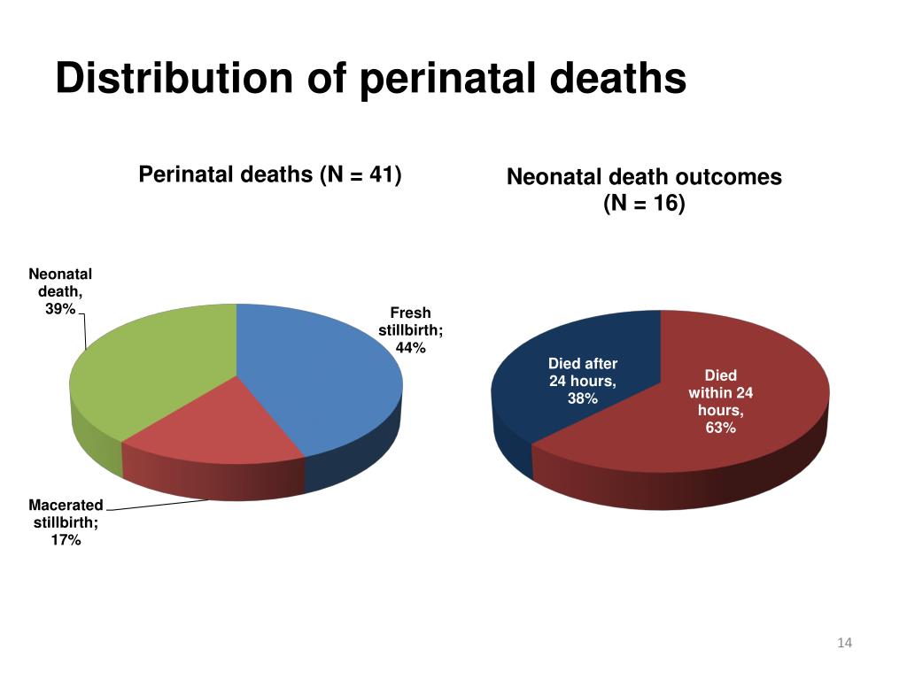 PPT - Factors associated with perinatal deaths in women delivering in a ...