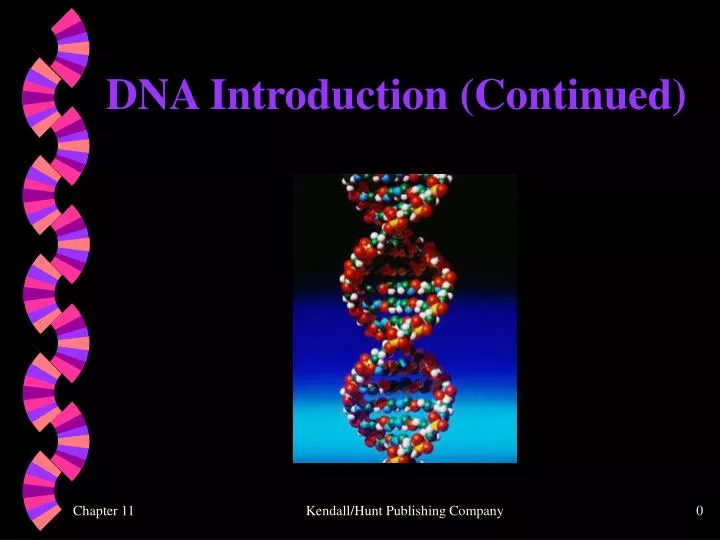 PPT - DNA Introduction (Continued) PowerPoint Presentation, free ...