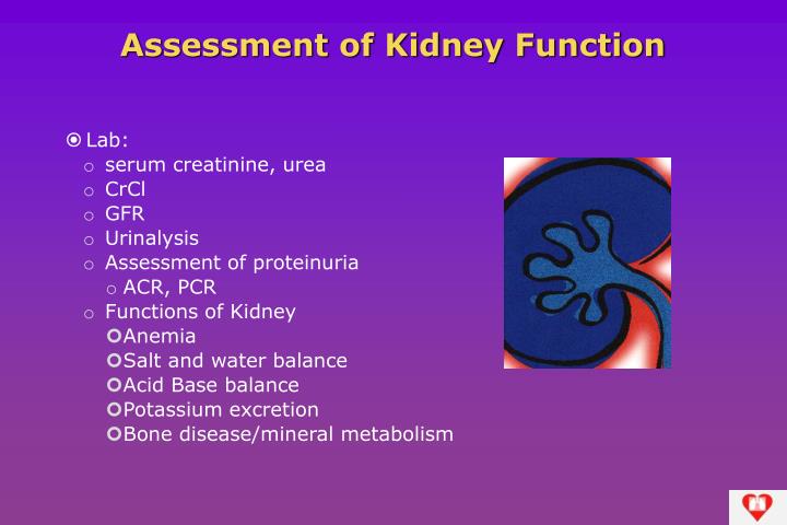 PPT - Managing the Chronic Kidney Disease Patient PowerPoint ...