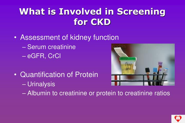 PPT - Managing the Chronic Kidney Disease Patient PowerPoint ...