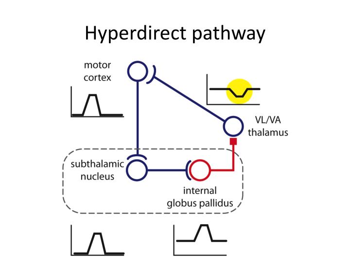 Hyperdirect Pathway
