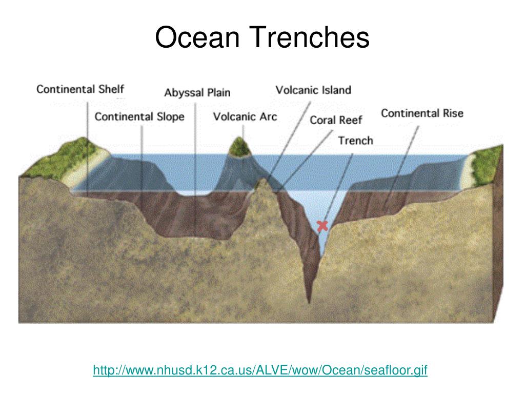 PPT - Earth Science and M.E.A.P PowerPoint Presentation, free download ... PPT - Earth Science and M.E.A.P PowerPoint Presentation, free download ...
