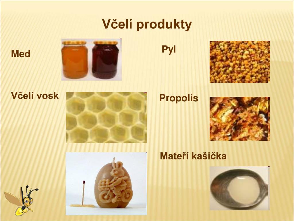 PPT - Způsob života a dorozumívání včely medonosné PowerPoint ...