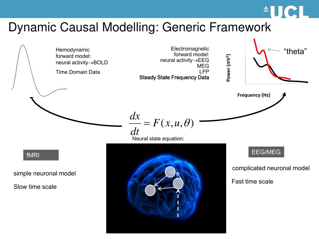 Ppt Dynamic Causal Model For Steady State Responses Powerpoint